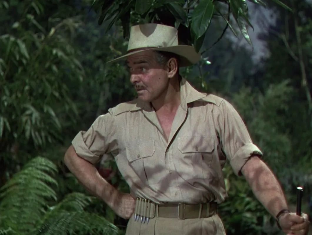 Guide ultime de la safari shirt: origines et conseils de style (test de ...